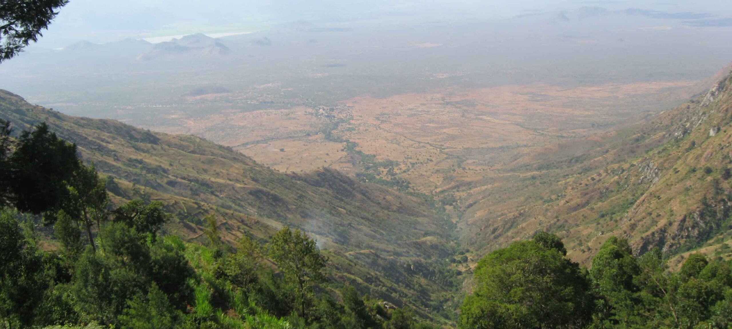 Usambara Mountains - Gundua Africa Adventure