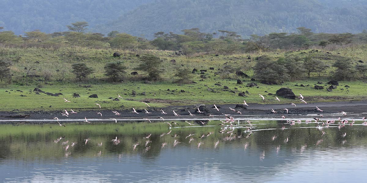 Arusha National Park - Gundua Africa Adventure