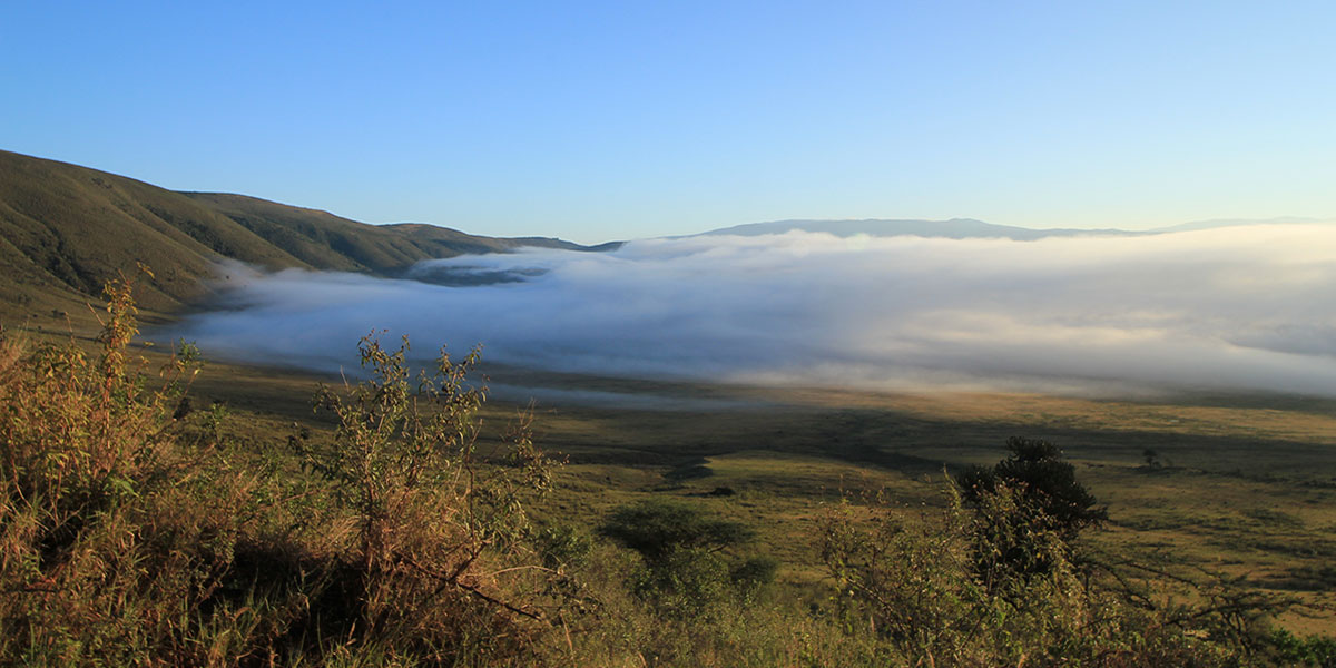 Ngorongoro Crater - Gundua Africa Adventure