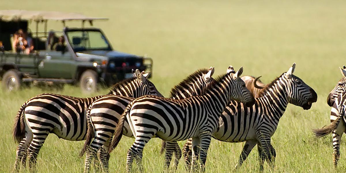 7 Days in Heaven Safari - Gundua Africa Adventure
